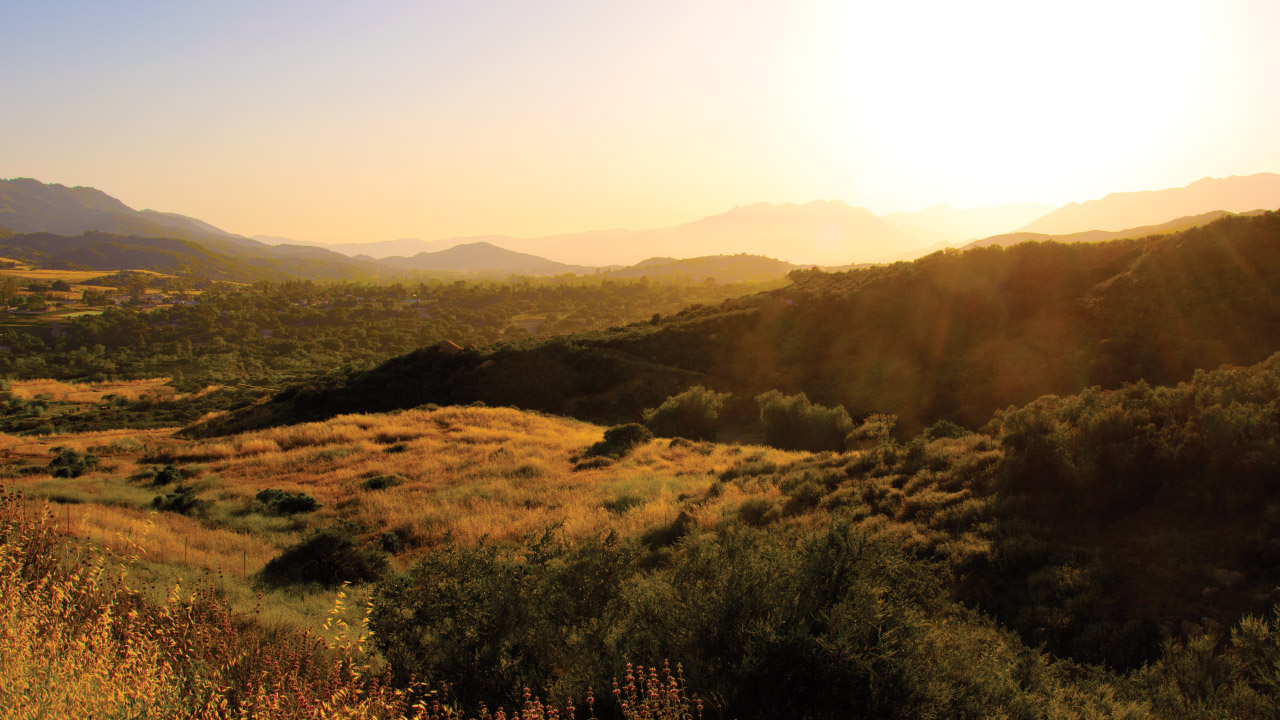 Savvy Living Article - Catholic Foundation of Northeast Kansas